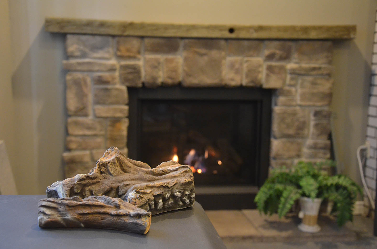 Gallery – Heritage Fire Company